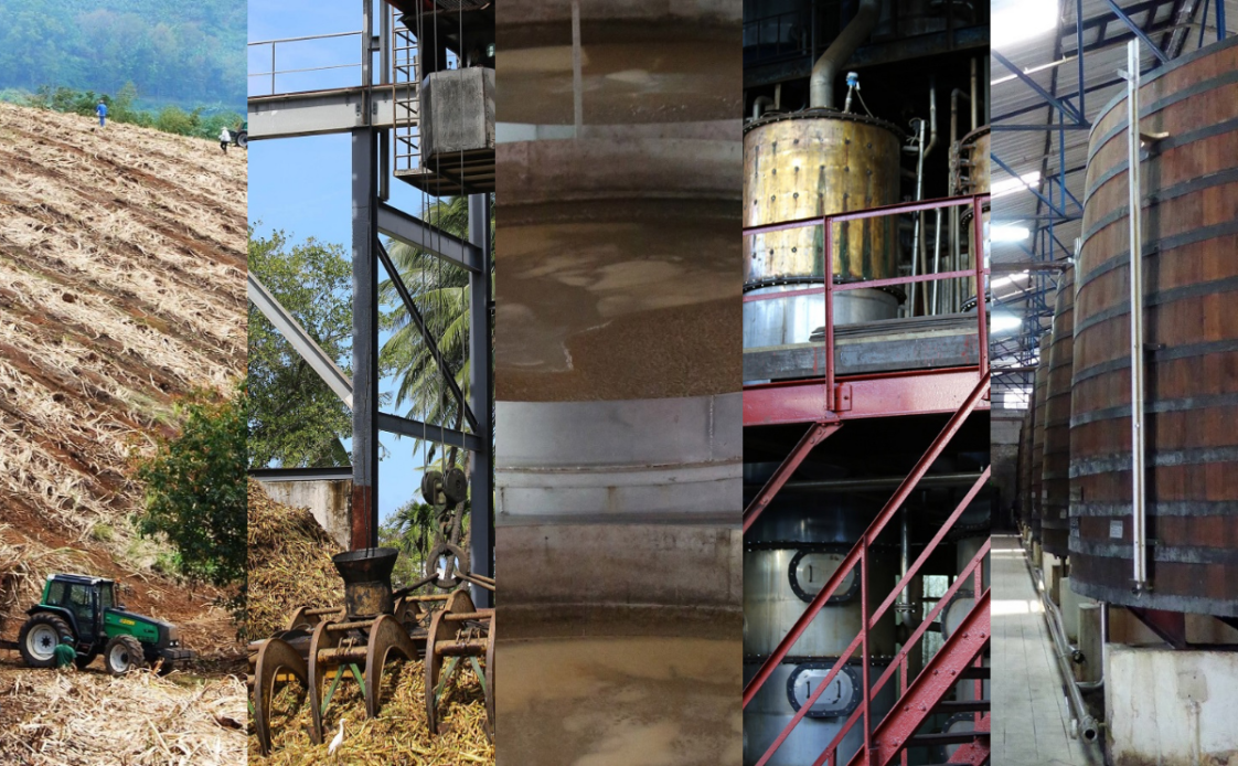 Le rhum agricole, les techniques de fabrication - CAVEMAN.CITY